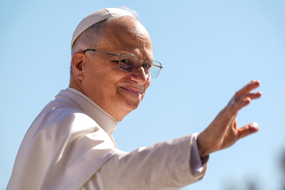 Pope Leo's Francis-aligned take on Durbin controversy backfires on conservatives | National ...